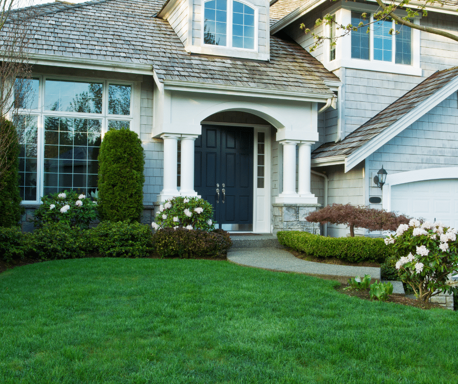 Seasonal Landscaping Tips for Year-Round Yard Beauty in Douglasville